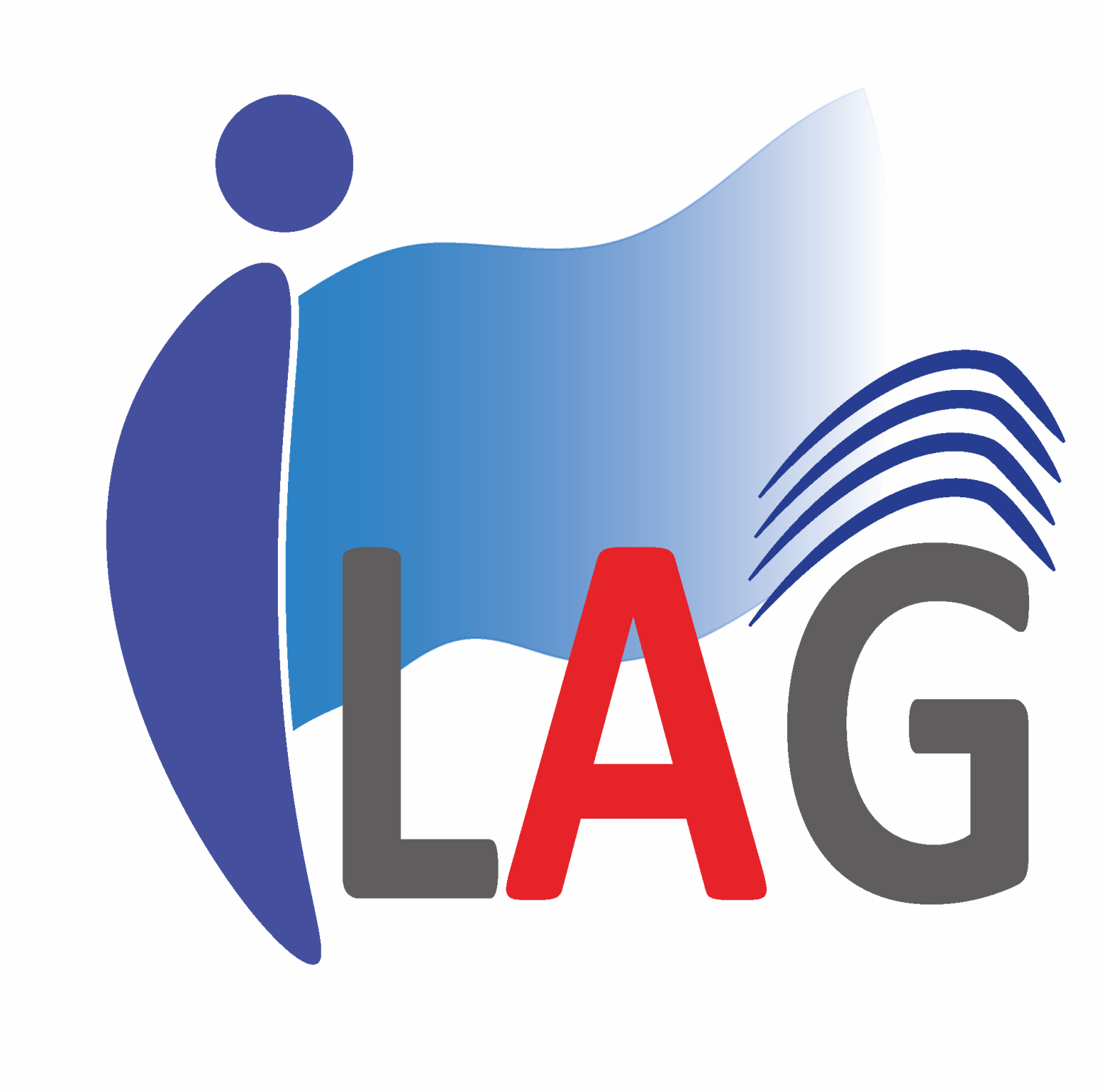 消化器グループ若手会「FLAG」 | 西日本がん研究機構(WJOG)